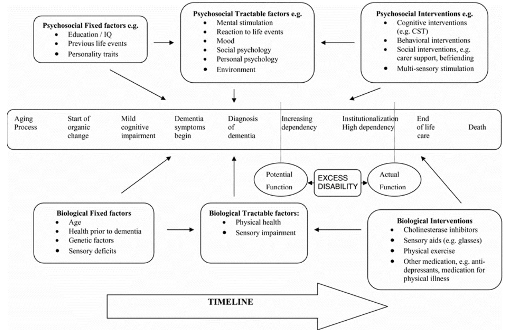 Biopsychosocial model of dementia care (spector & orrell,
