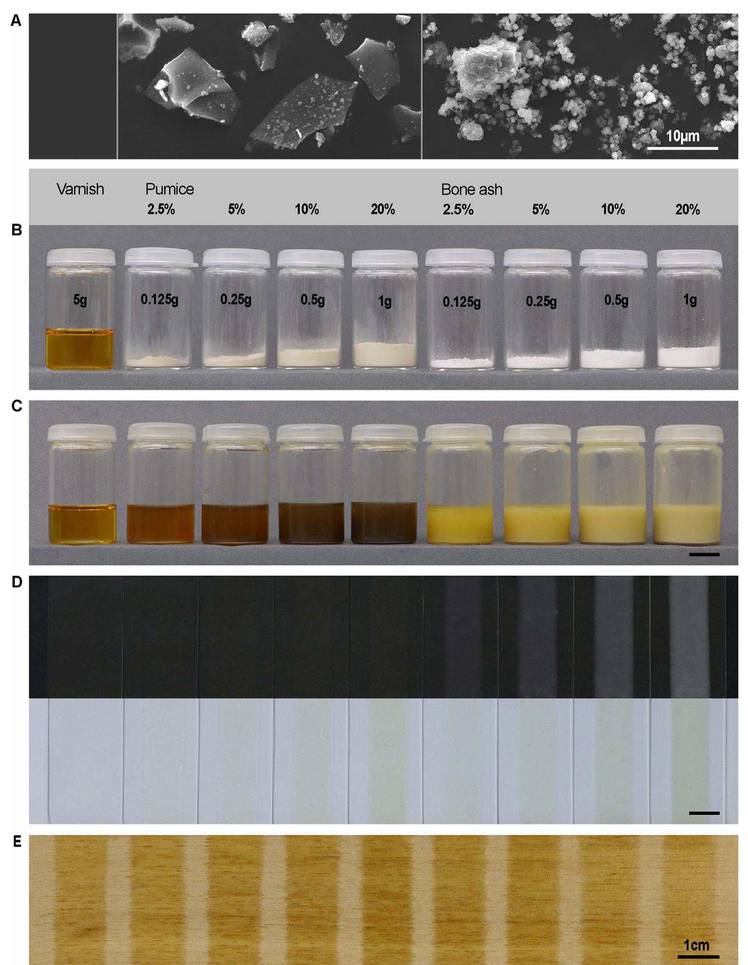 (a) scanning electron microscope images (rem-se) of the
