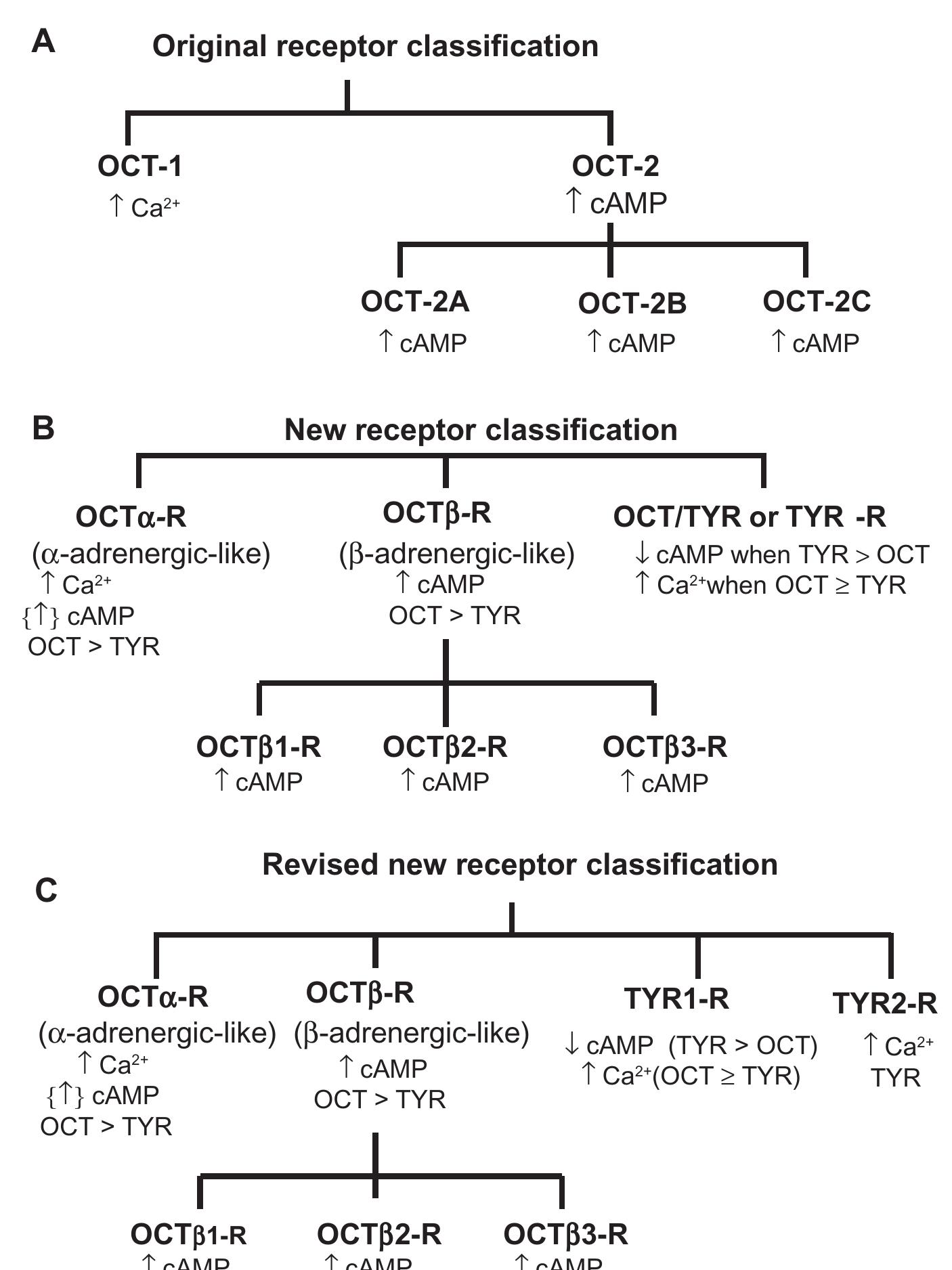 Classification schemes of octopaminergic receptors. (a)