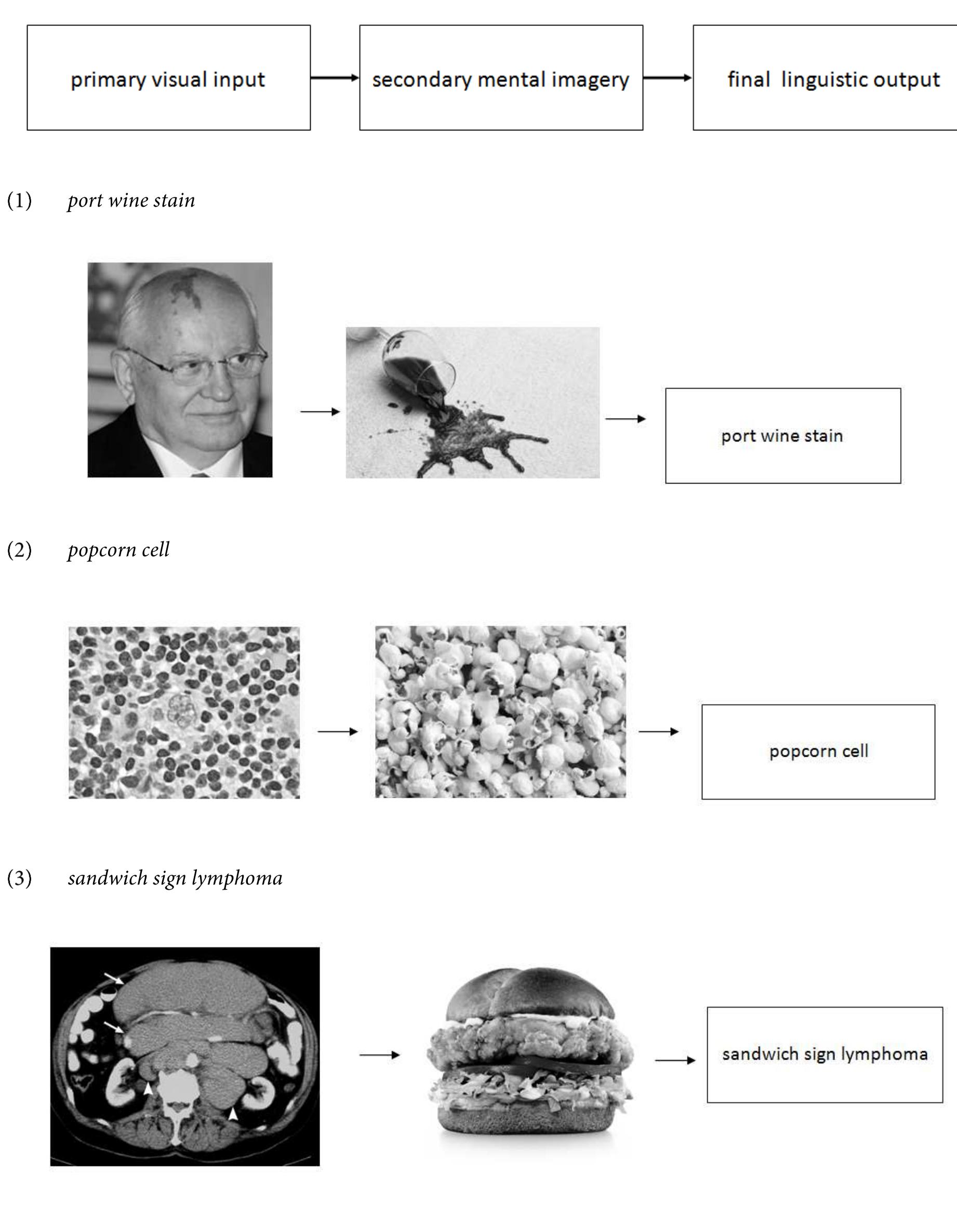 Figure 2 - Didactic potential of metaphors used in medical