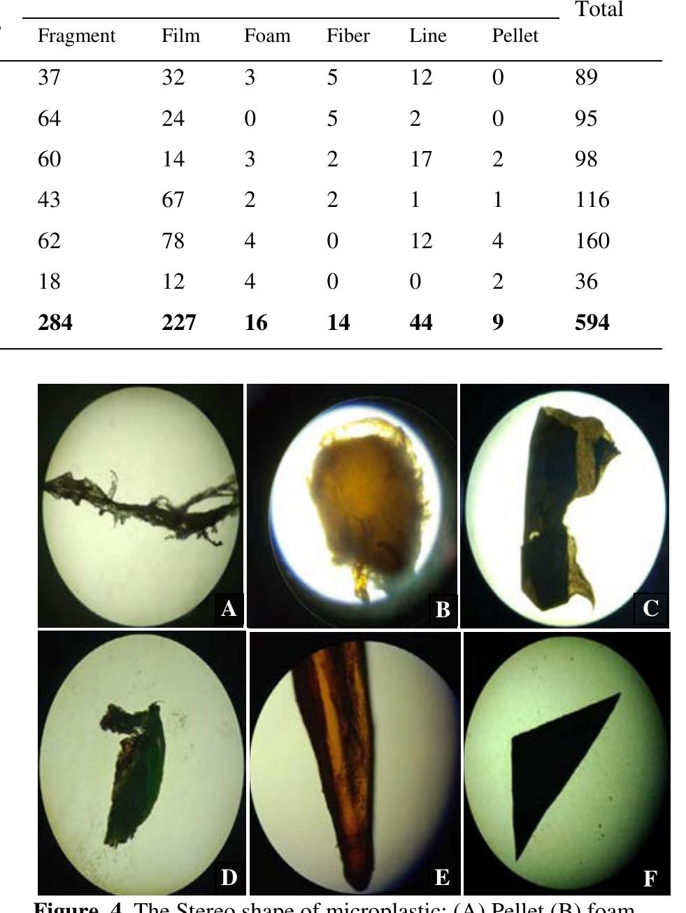 Figure 4 - Examination of Microplastic Particles in Reef