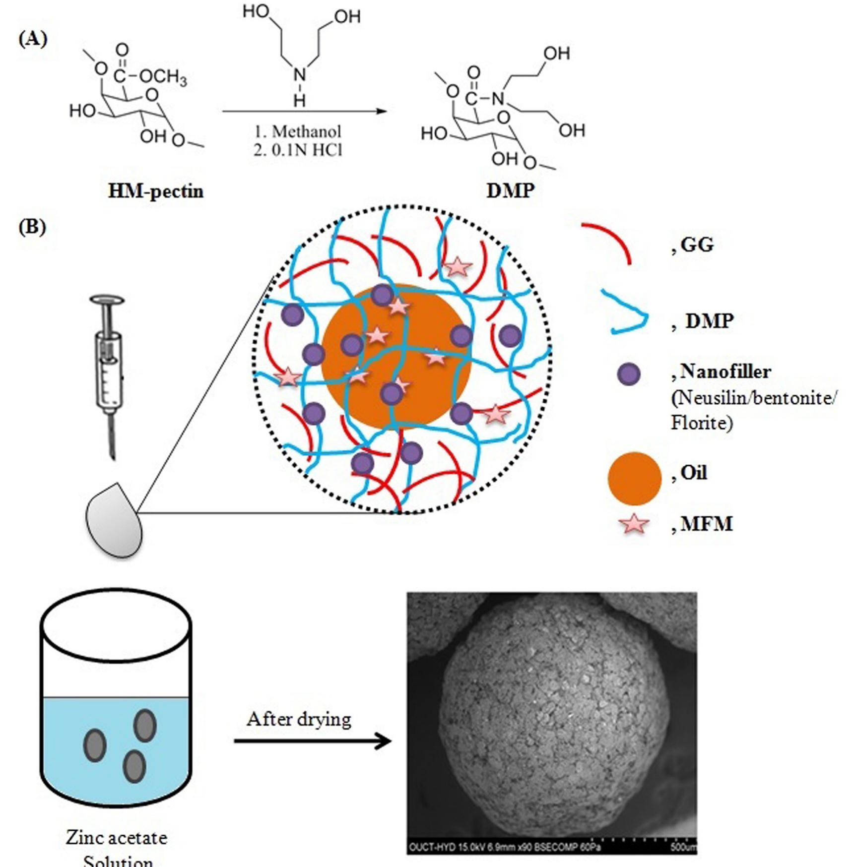 A schematic illustration of dmp (a) and mfm-loaded composite