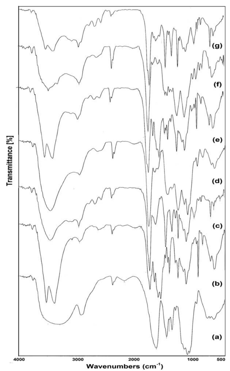 Ftir spectra of (a) cmc, crosslinked with (b) maleic acid,
