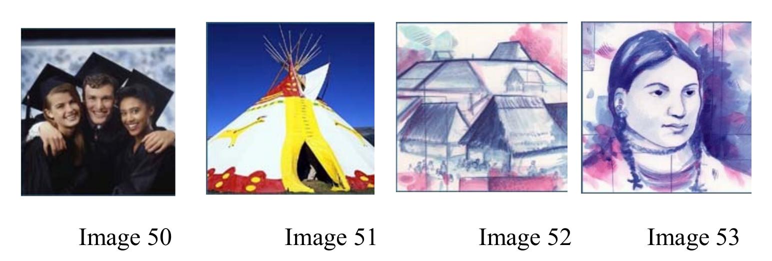 Photo 52 illustrates a vague a line sketch of a homogenized