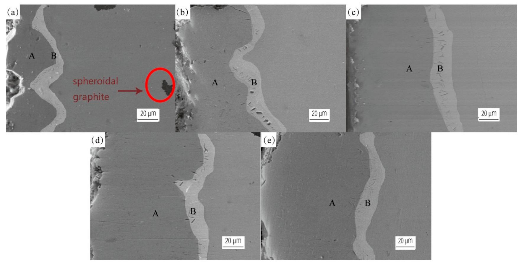 The cross-sectional microstructures of aluminizing samples