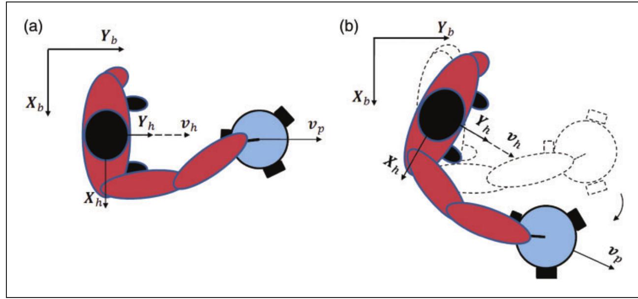 Types of falling: (a) front falling; (b) lateral falling.