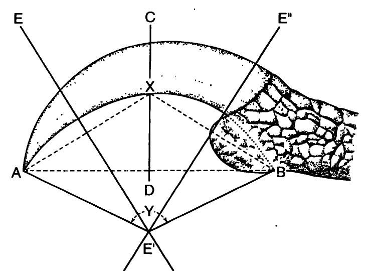 Diagram of geometric measurements of claw curvature (70). a