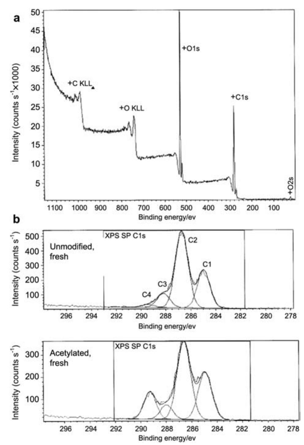 (a) xps survey spectrum of acetylated sample, fresh surface.