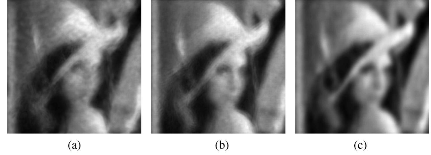 Gaussian noise model, case 3 sample images. compares (a) a
