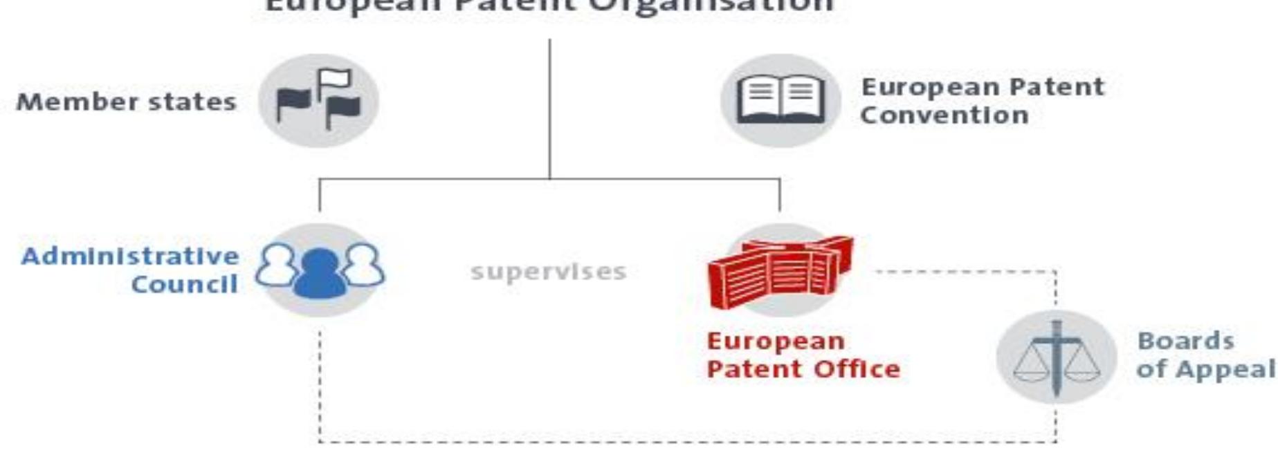 Organizational structure of the european patent organization