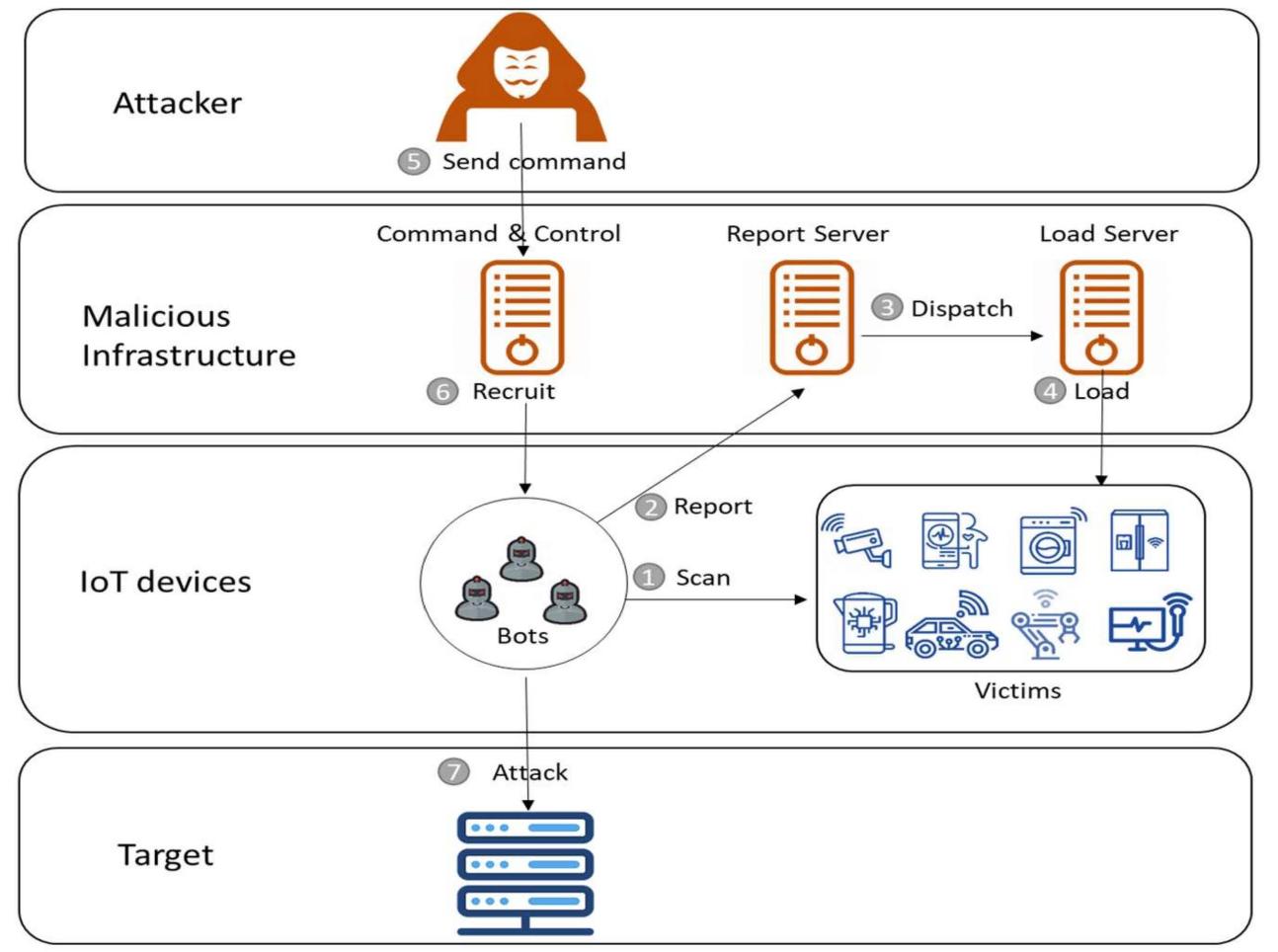 A flow diagram of an iot botnet.