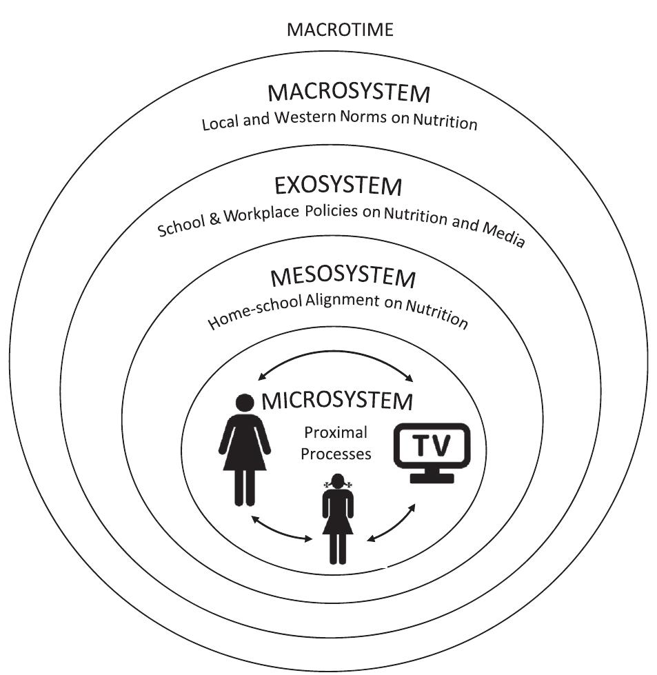 Conceptual bioecological systems model or process-