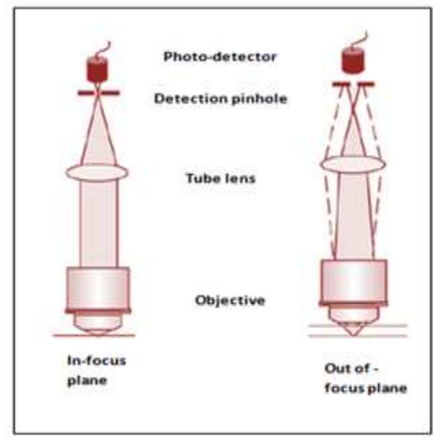 The major use of confocal microscopy in the biomedical