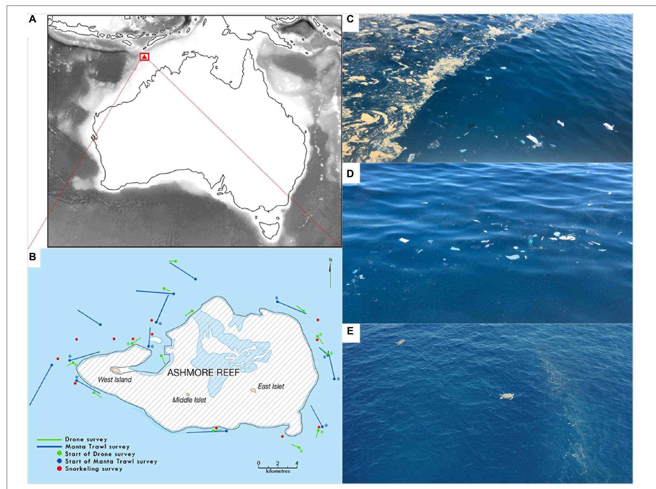 | study area: (a) map of australia showing the location of