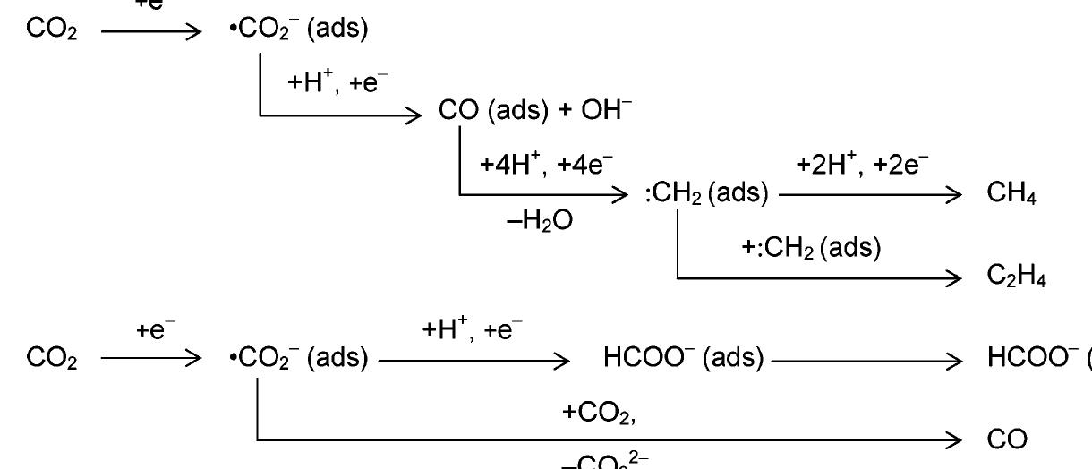 Reaction mechanism of the electrochemical reduction of coz