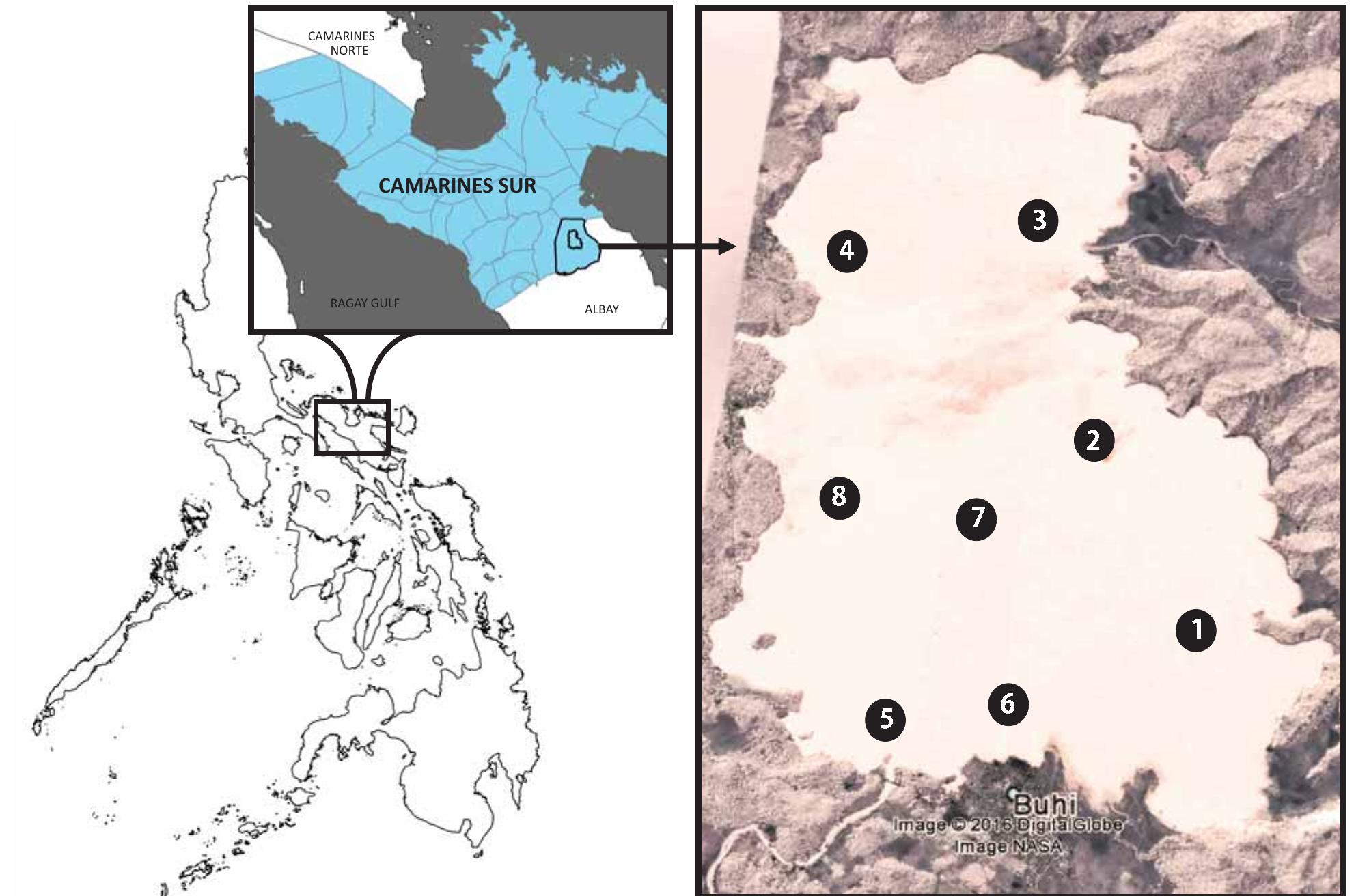 Map and location of the eight sampling stations in lake