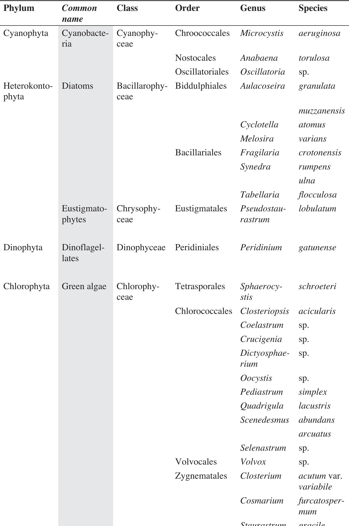 List and taxonomic classification of identified
