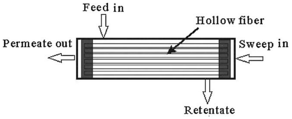 Schematic drawing of a hollow fiber membrane module. the