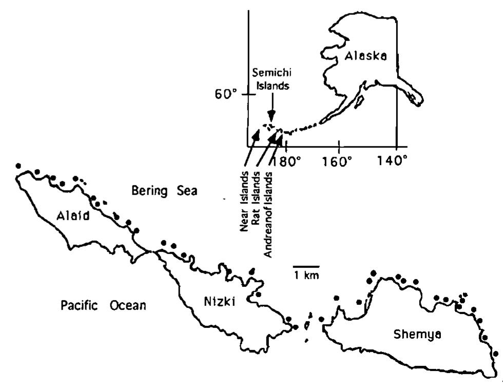 Map of the semichi islands showing the location of alaid,
