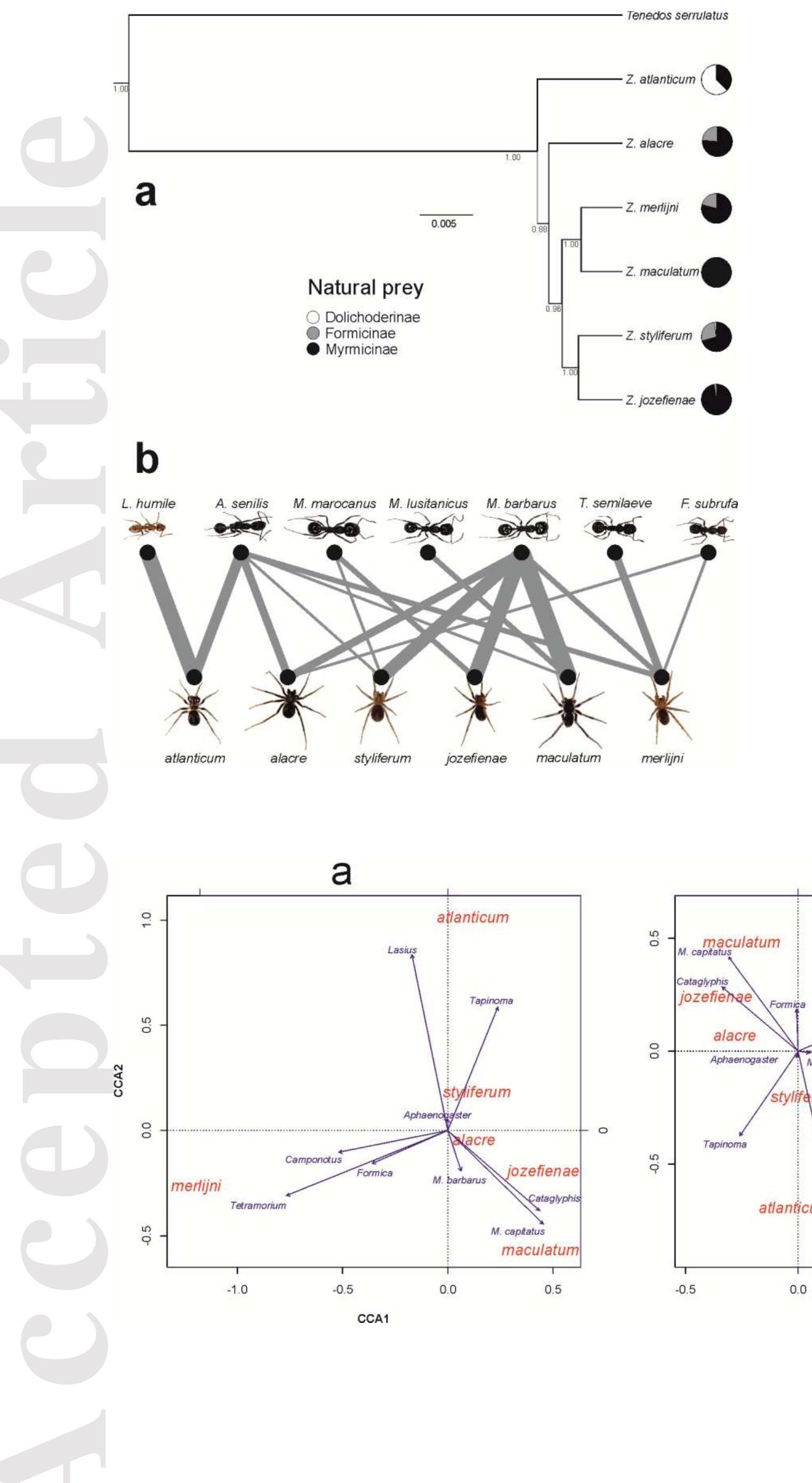 Figure 1 - Trophic niche, capture efficiency and venom