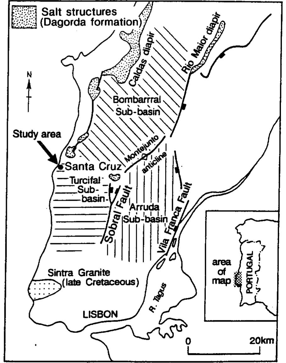Schematic geological map of the lusitanian basin, west- ern
