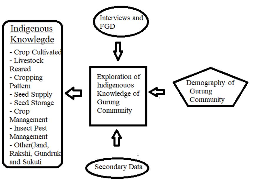 2.1 conceptual framework figure 1: conceptual framework