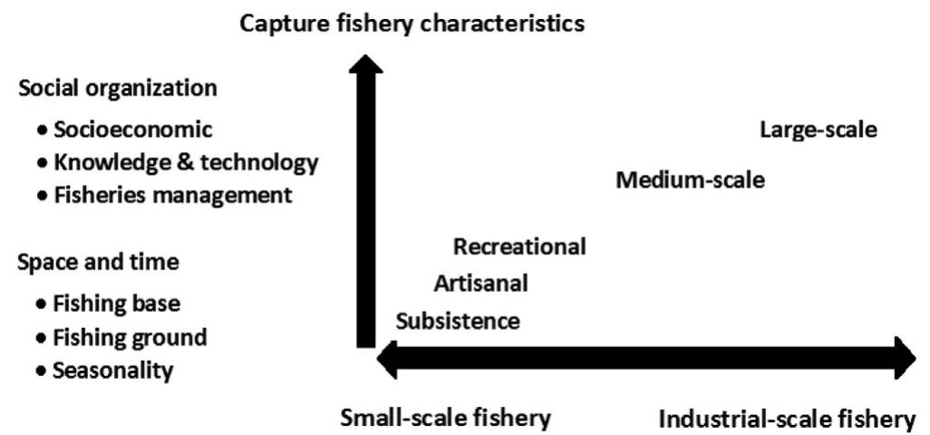 Capture fishery characteristics in a “scale” of categories