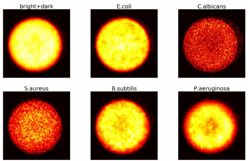 Heatmaps of all annotations at one picture for
