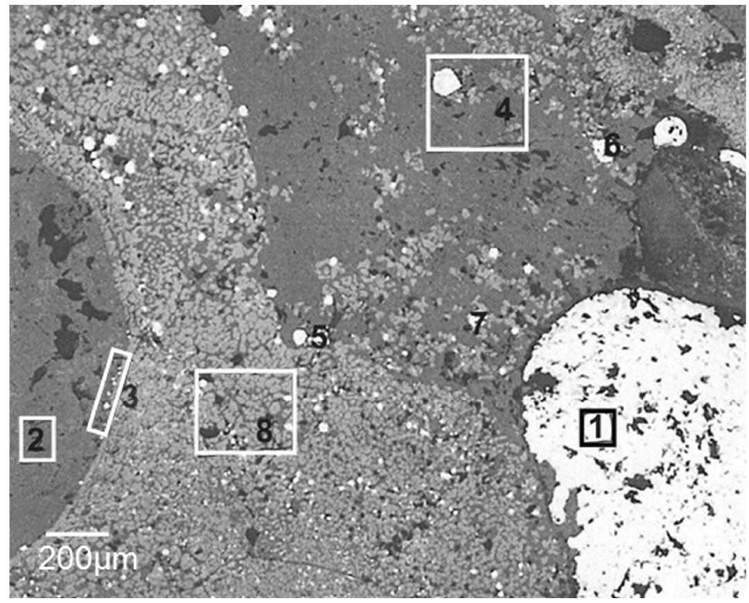 (a): photomicrograph of typical microscopic features in heap