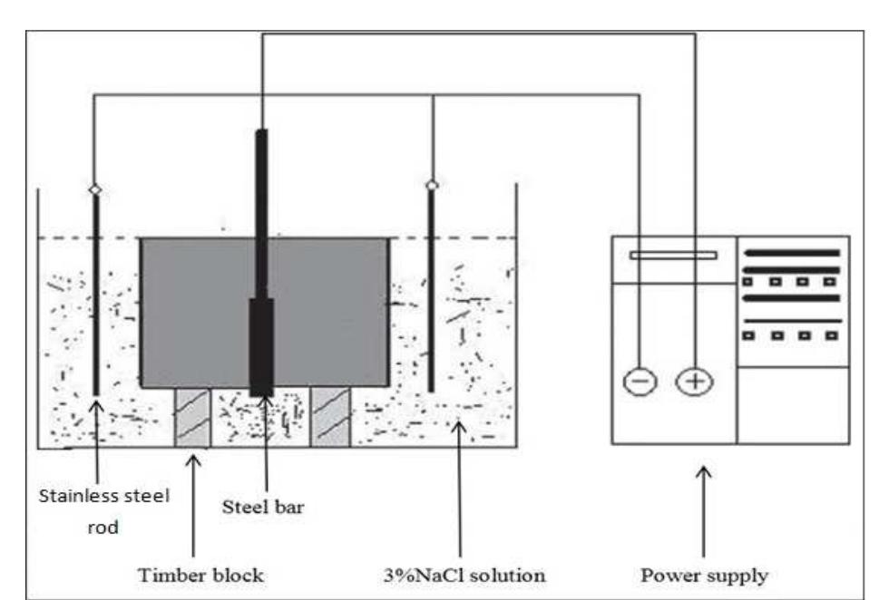 -4. a schematic representation of the electrochemical test