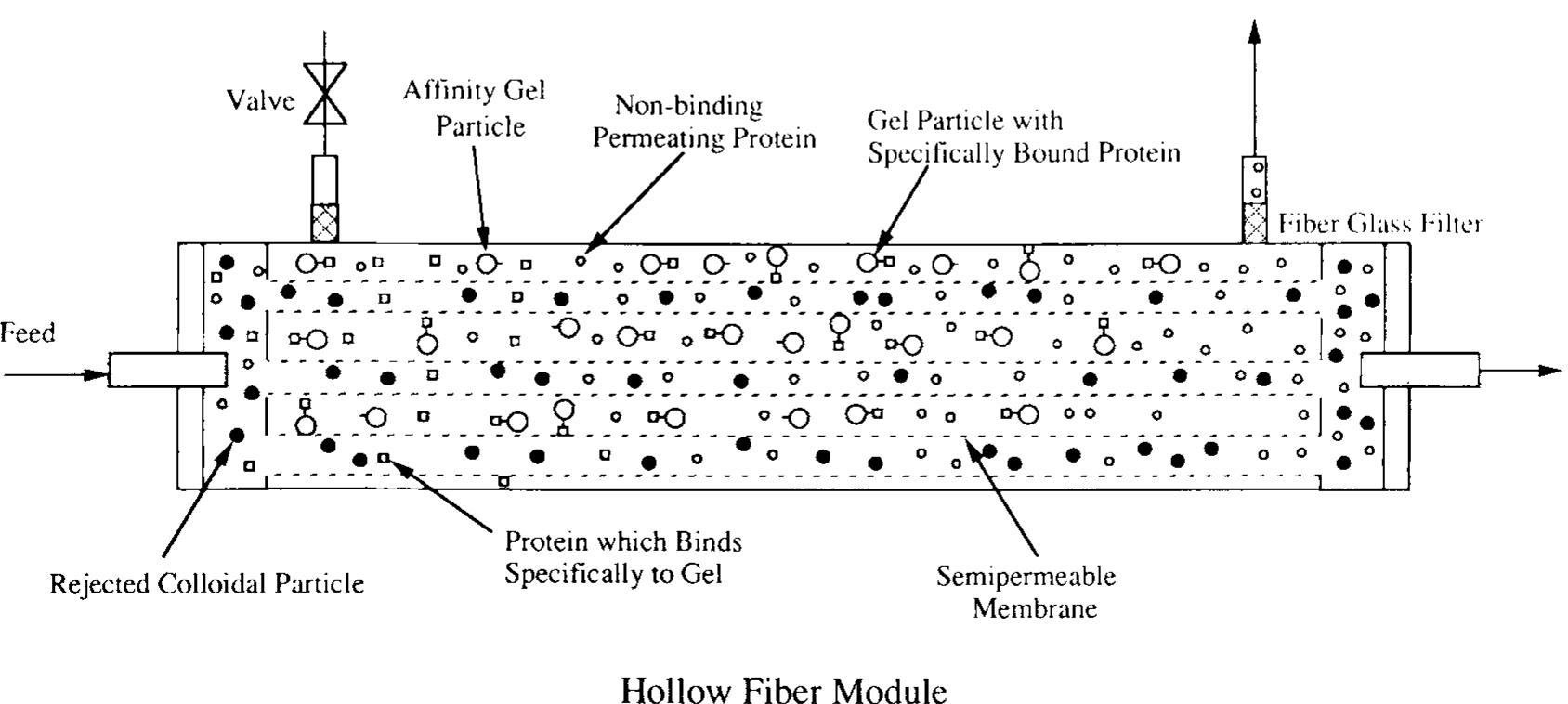Schematic illustration of hollow fiber device for combined