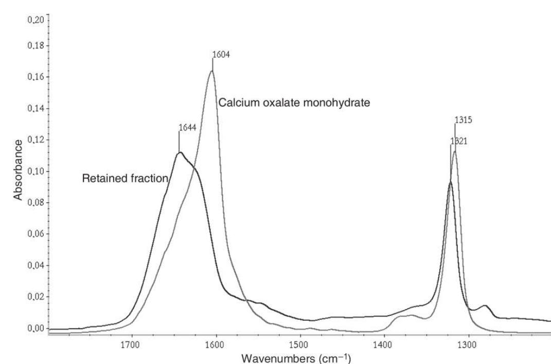 Ftir spectra of calcium oxalate monohydrate obtained from