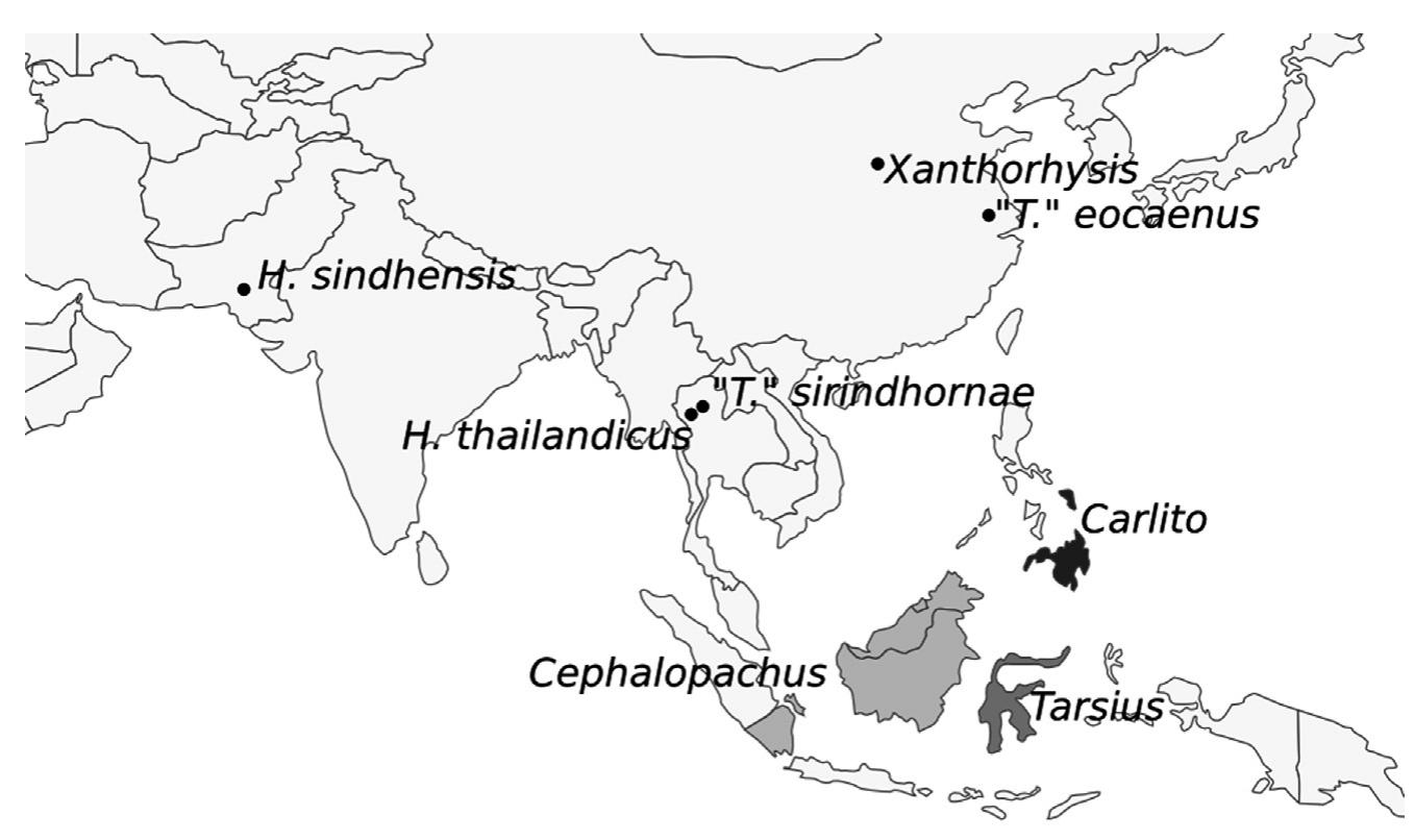Map of asia showing the ranges of the three living tarsier