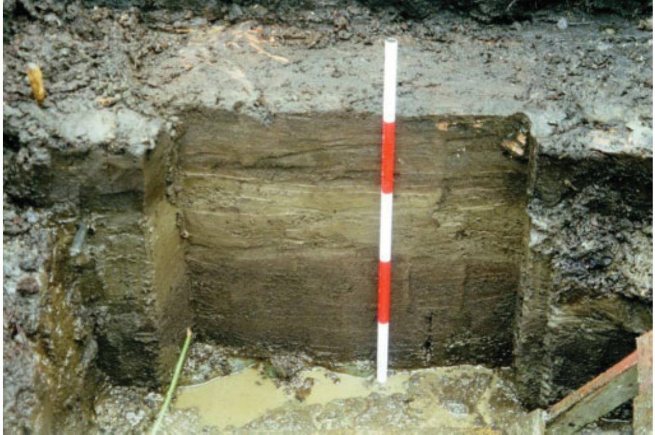 _ photograph showing the late-glacial sequence at sluggan