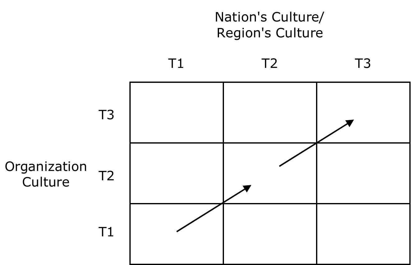 3t model of organizational culture - nation's culture grid