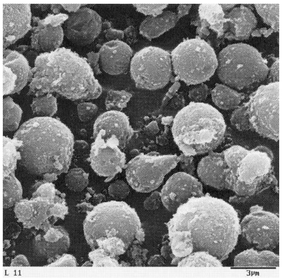 Sem photograph of silica using a rapid stirring motor