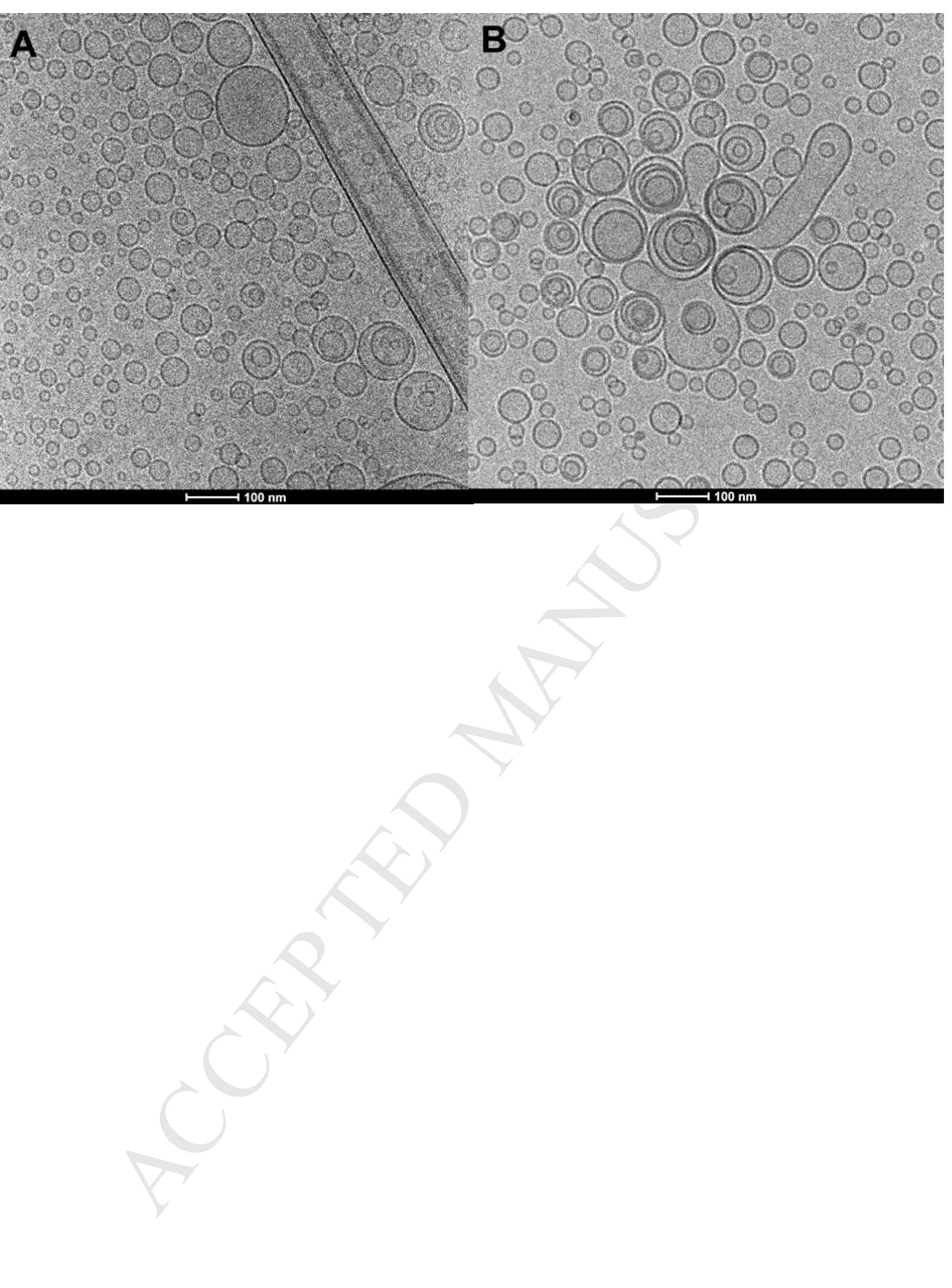 Figure 1 - Development of curcumin loaded sodium hyaluronate