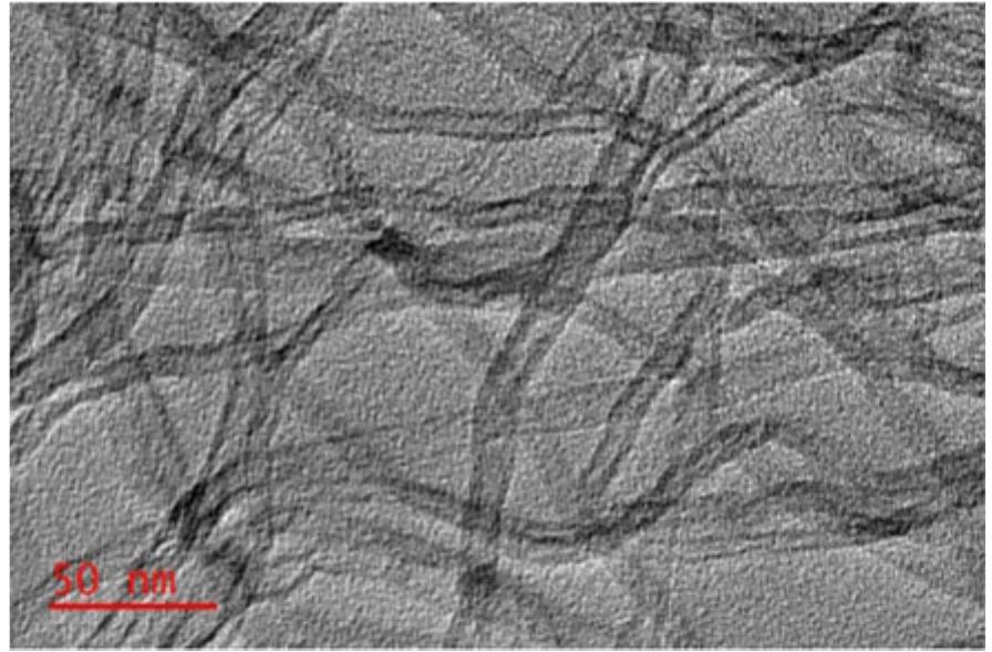 Transmission electron microscope (tem) image of cnt