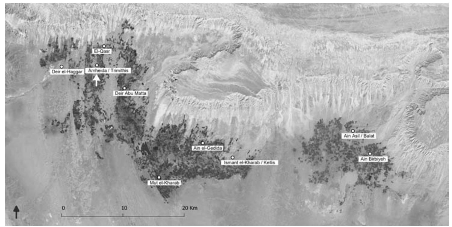 Map of the dakhleh oasis with the location of amheida (white