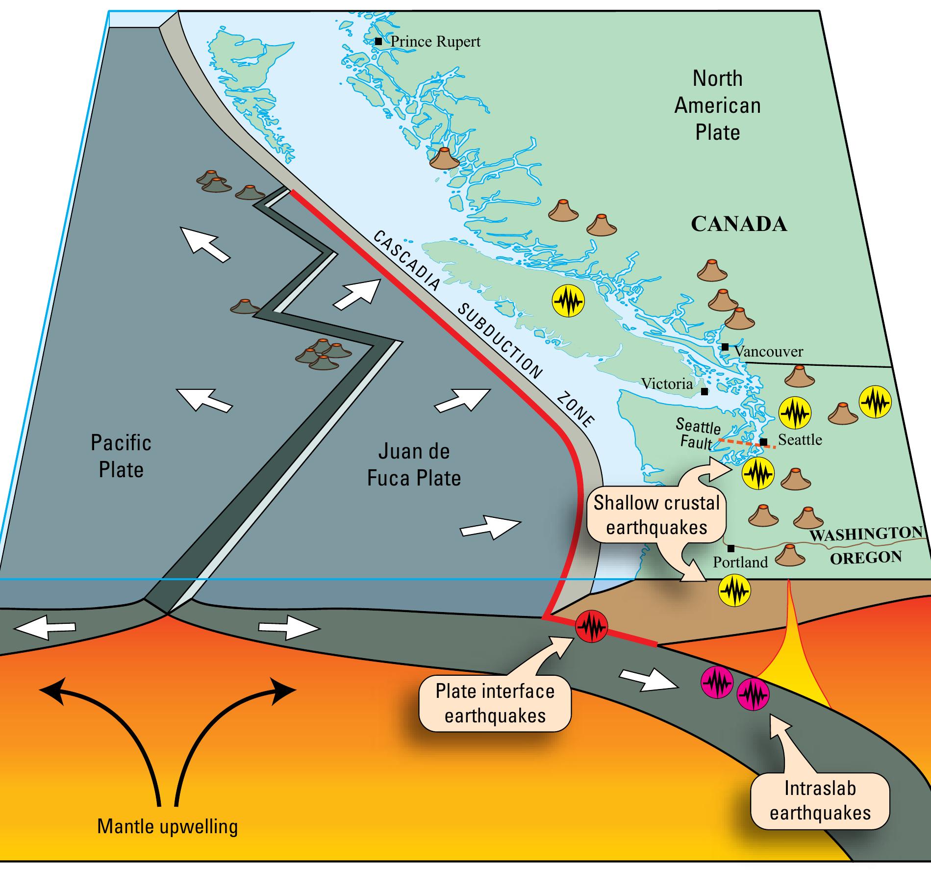 Schematic Cross Section Of The Cascadia Subduction Zone