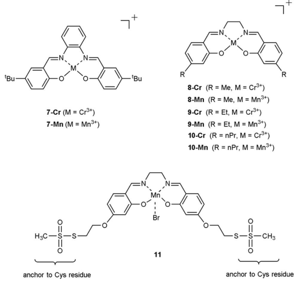 Structures of salen and salophen complexes used for