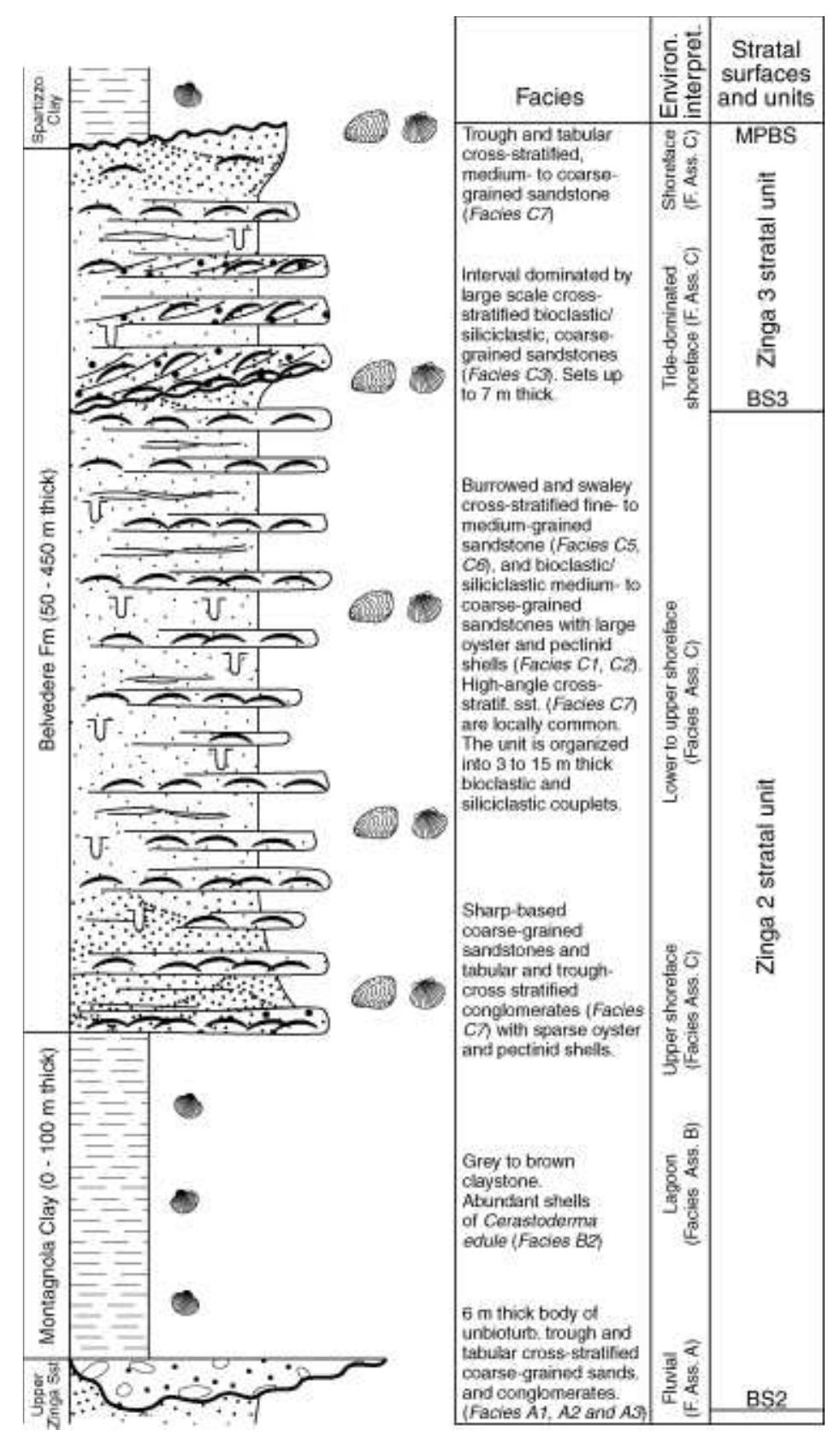 Simplified log showing zinga 2 and zinga 3 stratal units