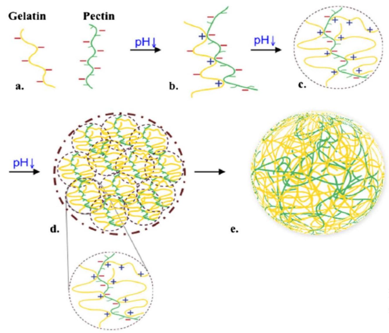 Schematic illustration of the electrostatic interactions