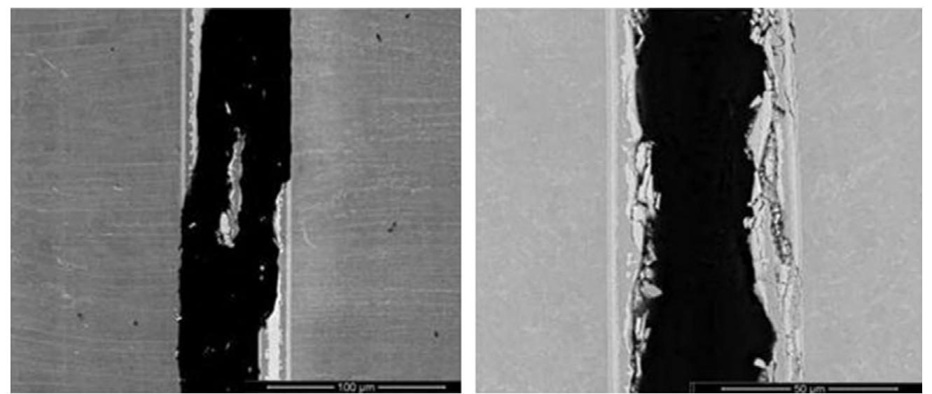 Sem cross section images of fractured specimens.