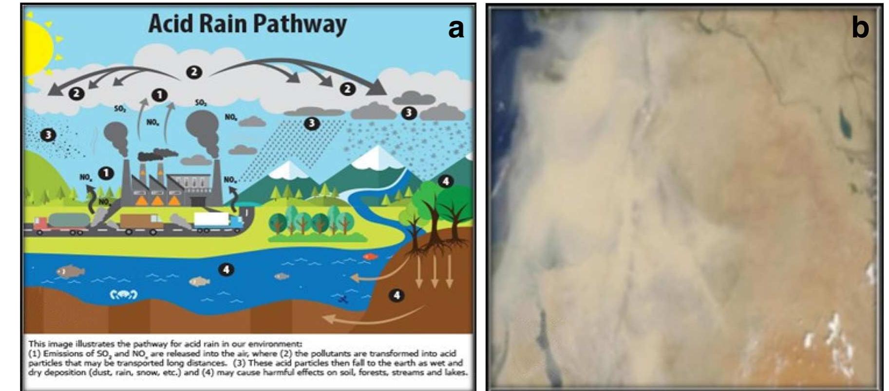 Aa diagram illustrating how acid rain is formed: (1)