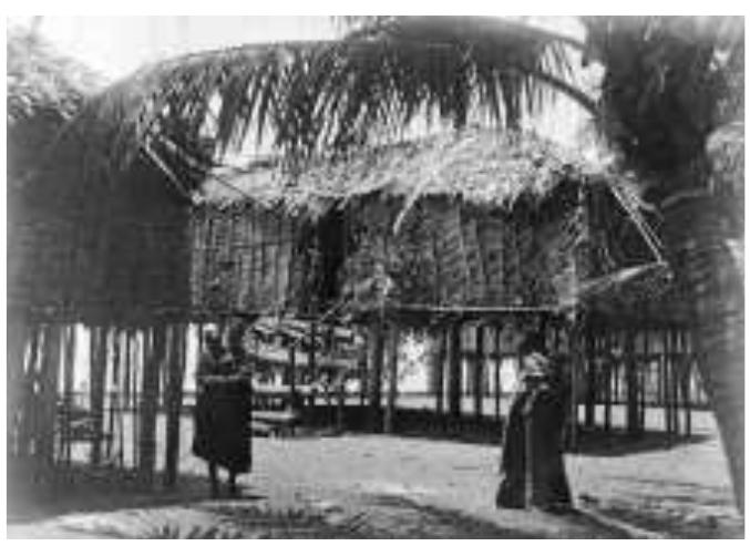 Saibai stilt-house, late 19thc (reproduced by permission of