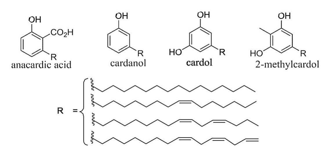 ‘ig. 3 components of cashew nut shell liquid