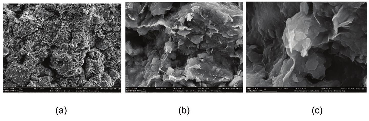 The sem images of typical clay for different magnification