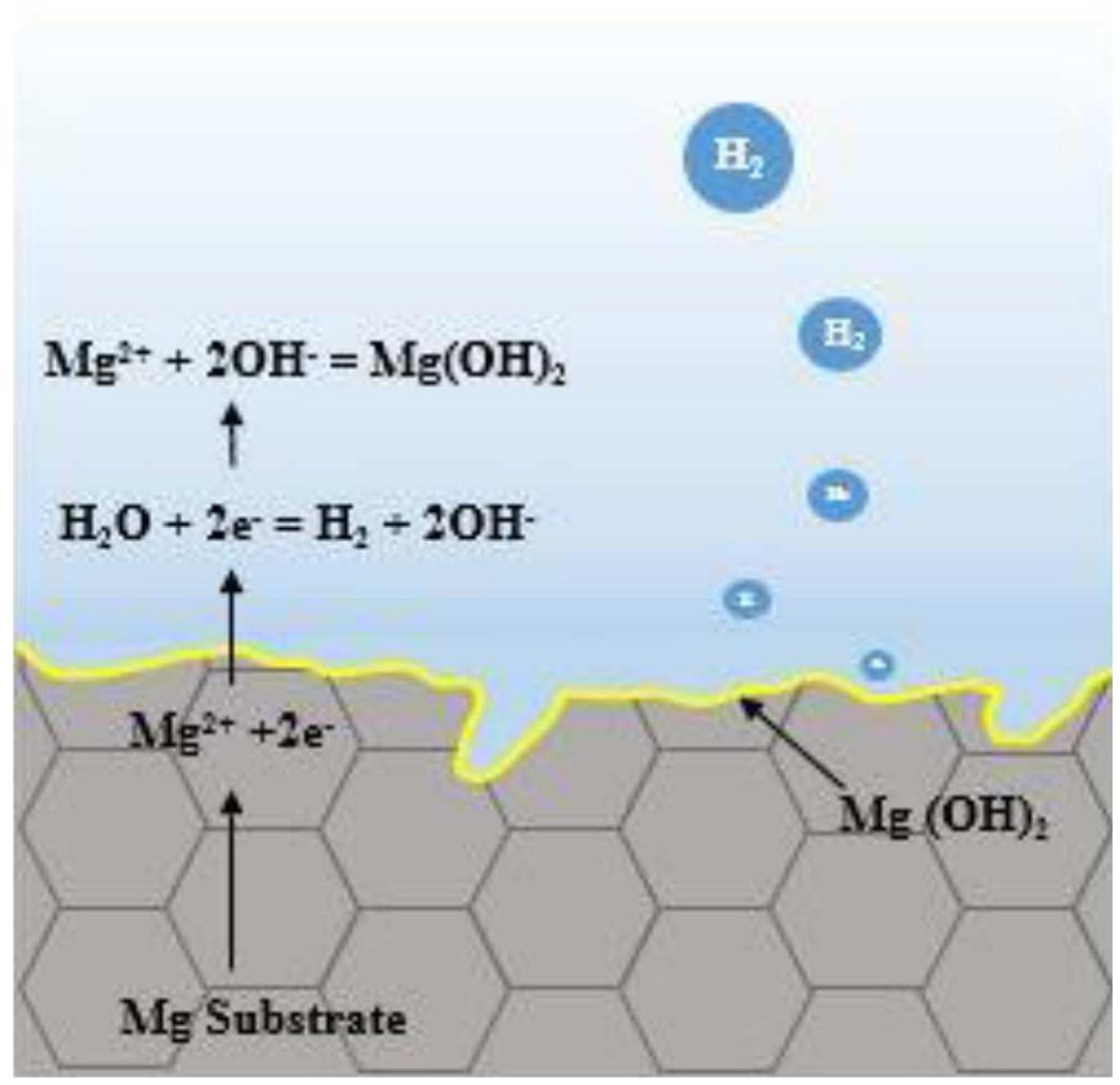 Schematic representation of the corrosion process in aqueous