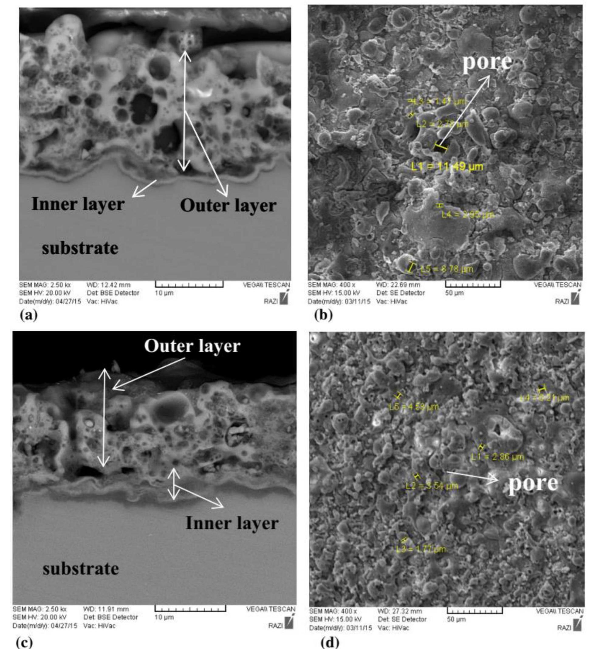 Sem images of the surface and cross-sections of peo coatings